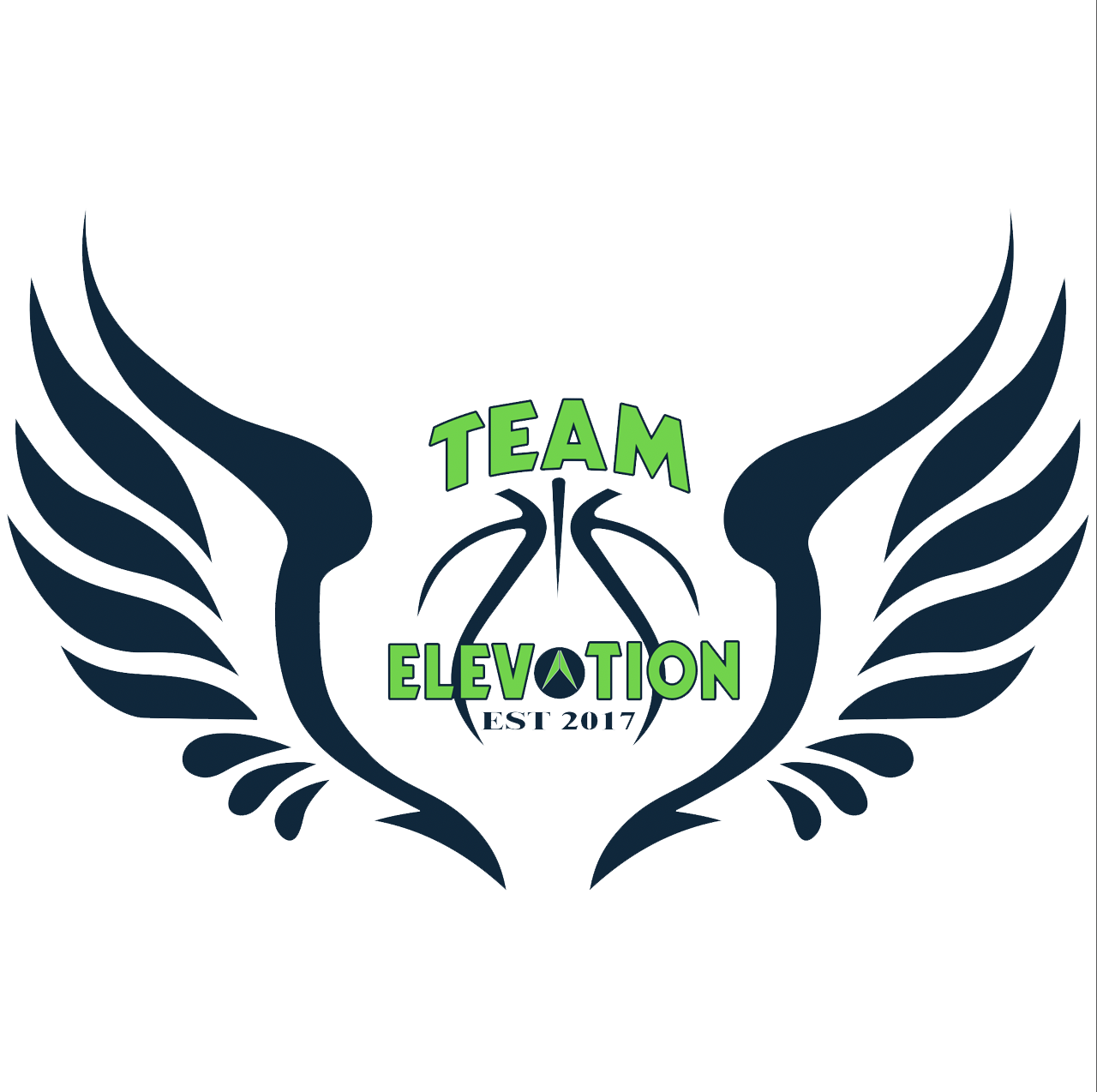 Team Elevation AAU - Iron Peak Sports & Events